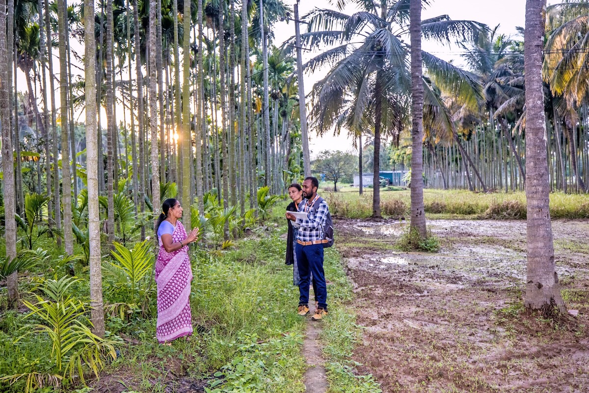 IDH - Toolkit towards better incomes